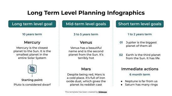Long Term Level Planning Infographics Template