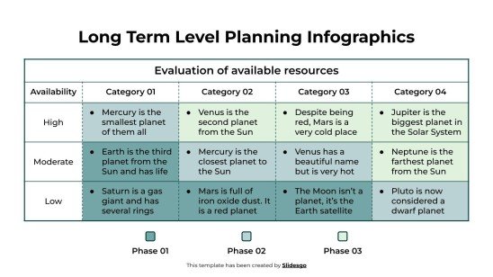 Long Term Level Planning Infographics Template