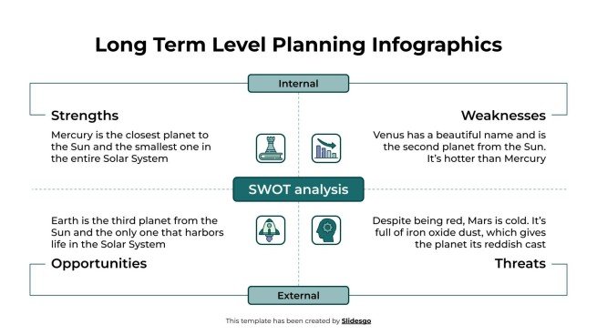 Long Term Level Planning Infographics Template