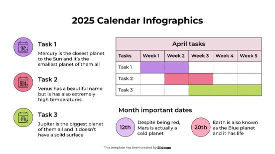 2025 Calendar Infographics Template