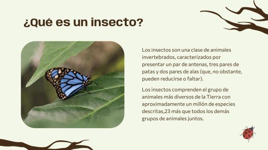 Insects Google Slides and PowerPoint Template