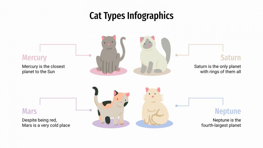 Cat Types Infographics | Google Slides & PowerPoint template