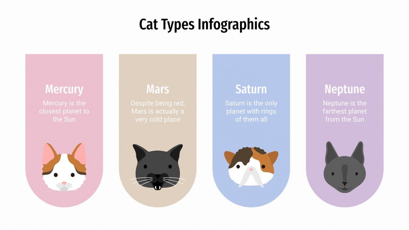 Infographies sur les types de chats | Google Slides e PPT