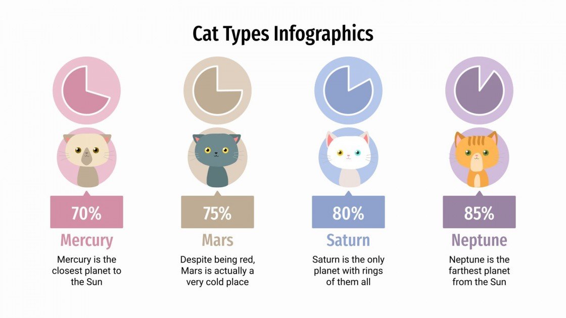 Infographies sur les types de chats | Google Slides e PPT