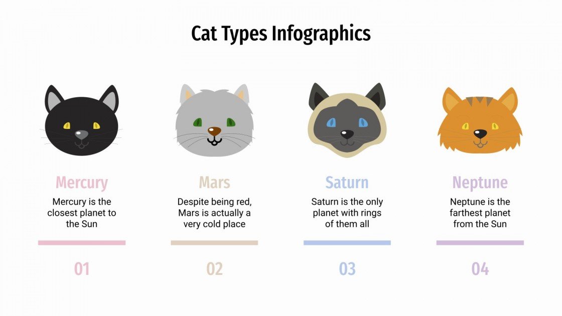 Infographies sur les types de chats | Google Slides e PPT