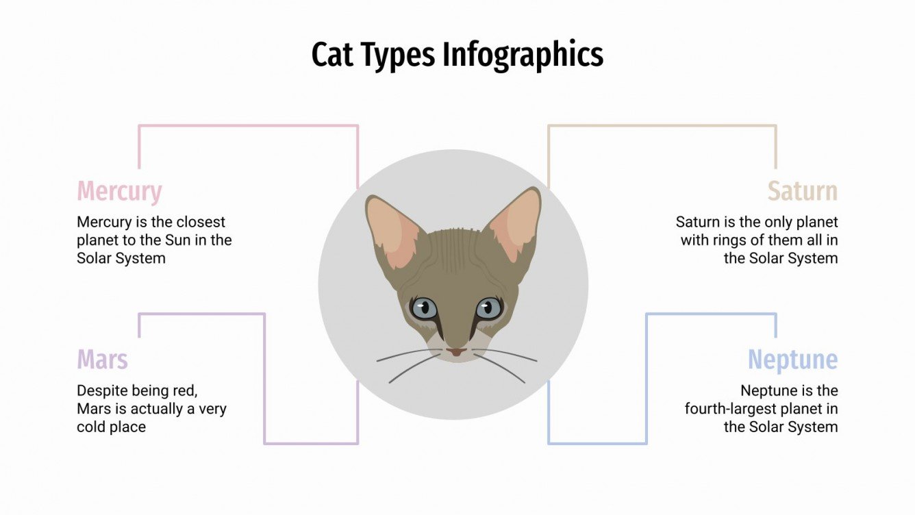 Infographies sur les types de chats | Google Slides e PPT
