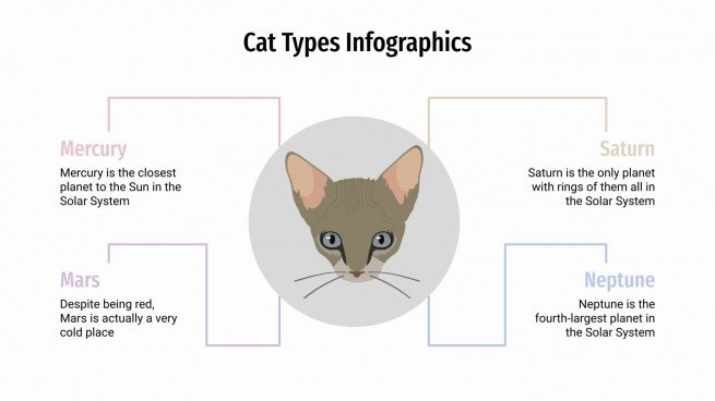 Cat Types Infographics | Google Slides & PowerPoint template