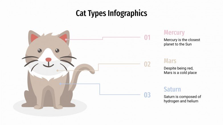 Infographies sur les types de chats | Google Slides e PPT