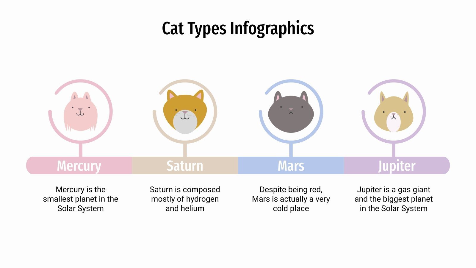 Infographies sur les types de chats | Google Slides e PPT