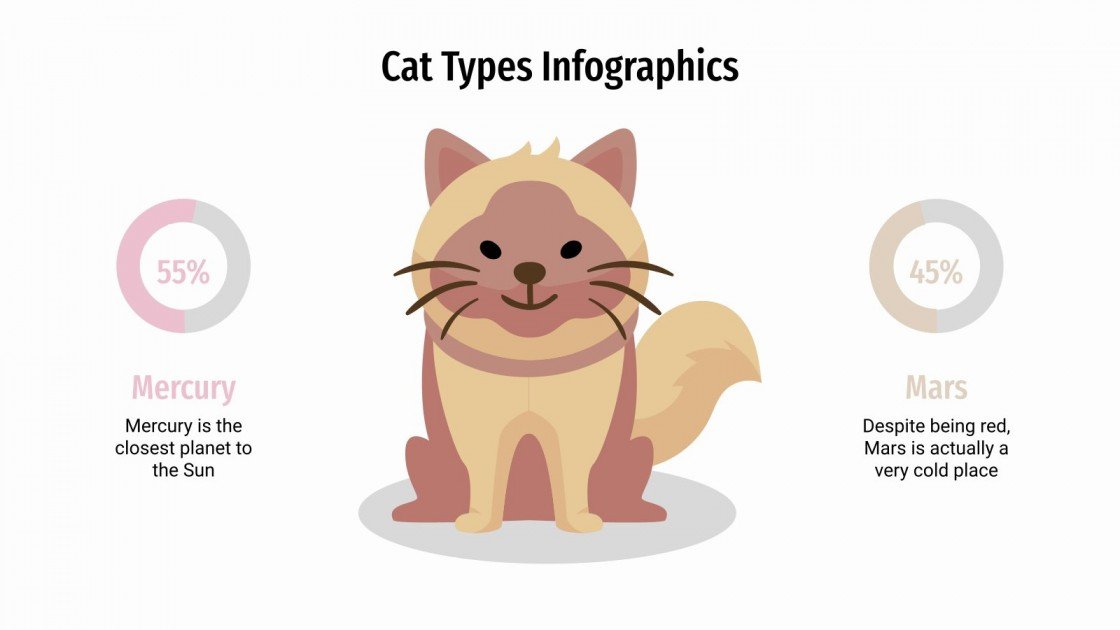 Infographies sur les types de chats | Google Slides e PPT