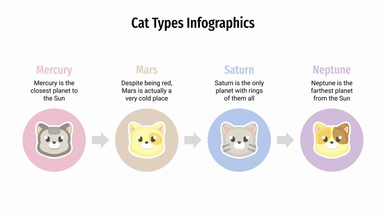Infographies sur les types de chats | Google Slides e PPT
