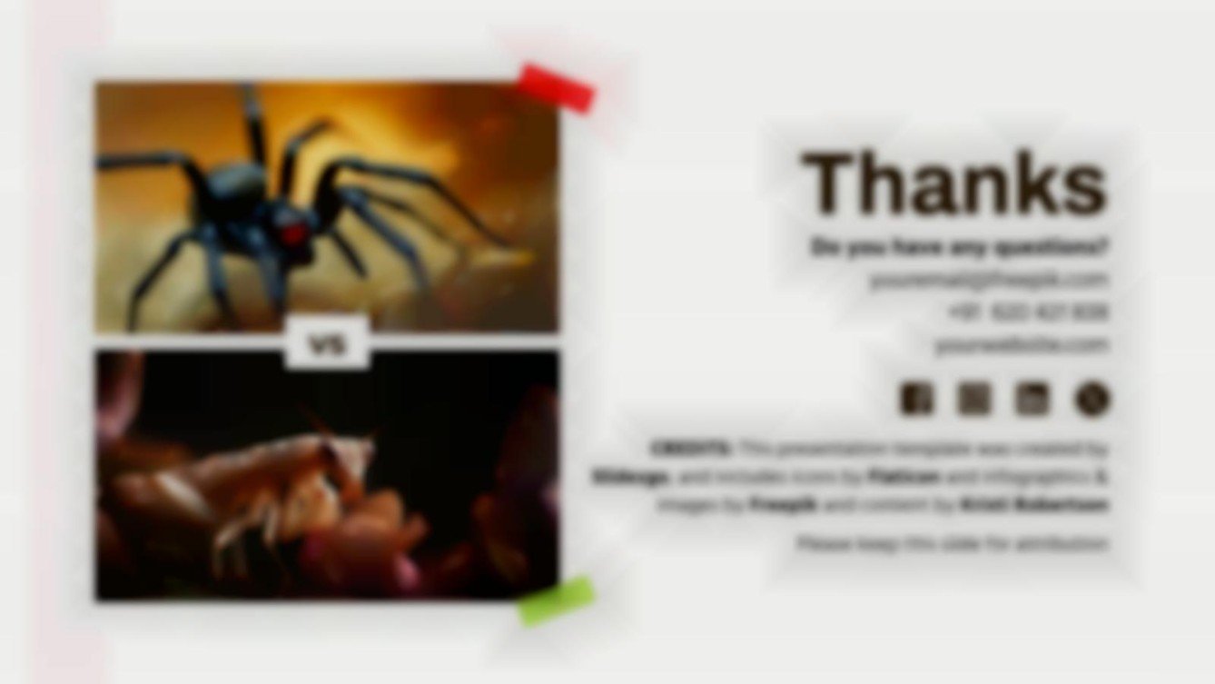 Animal Comparisons: Praying Mantis vs. Black Widow Spider