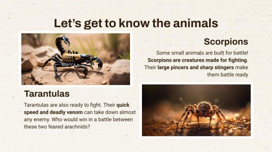 Scorpion vs. Tarantula Presentation