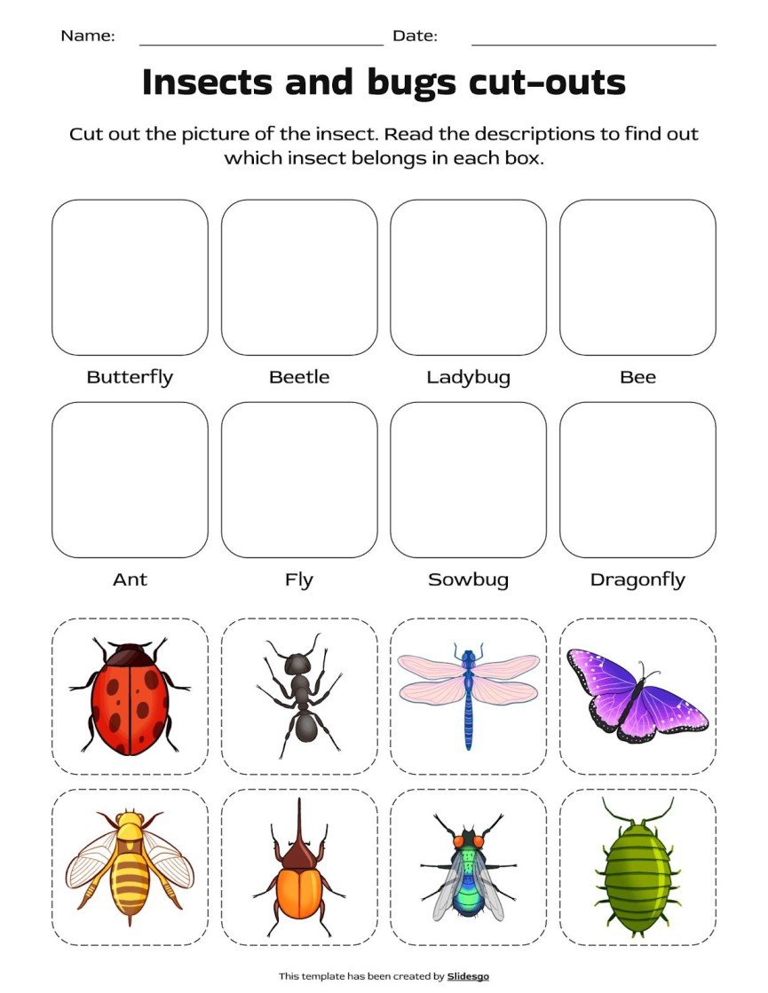 Insects and Bugs Cut-outs Template