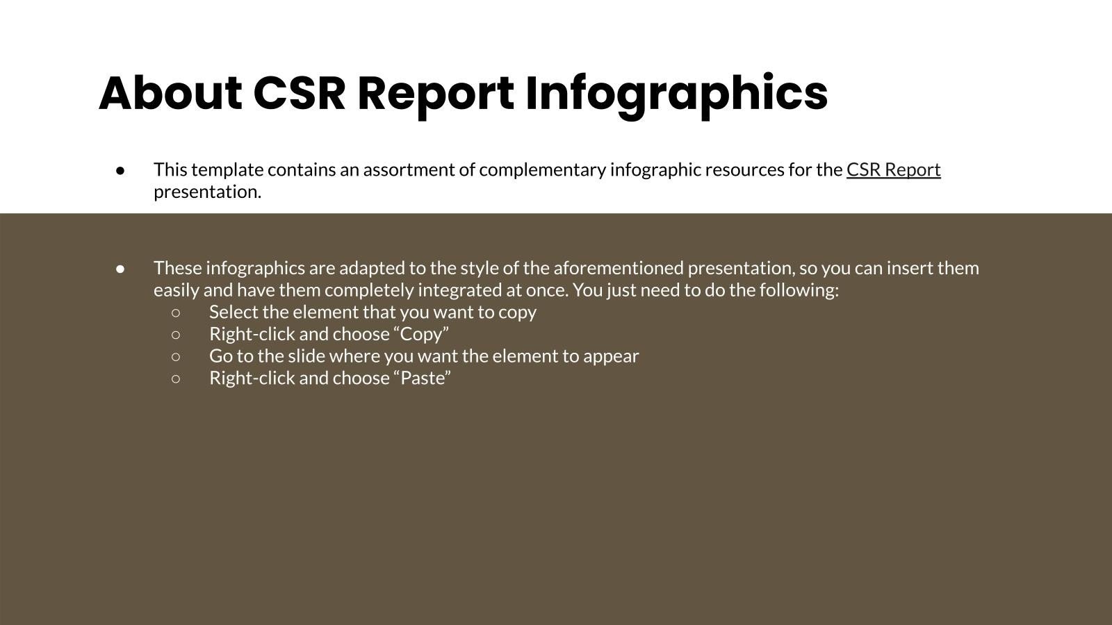 CSR Report Infographics Presentation