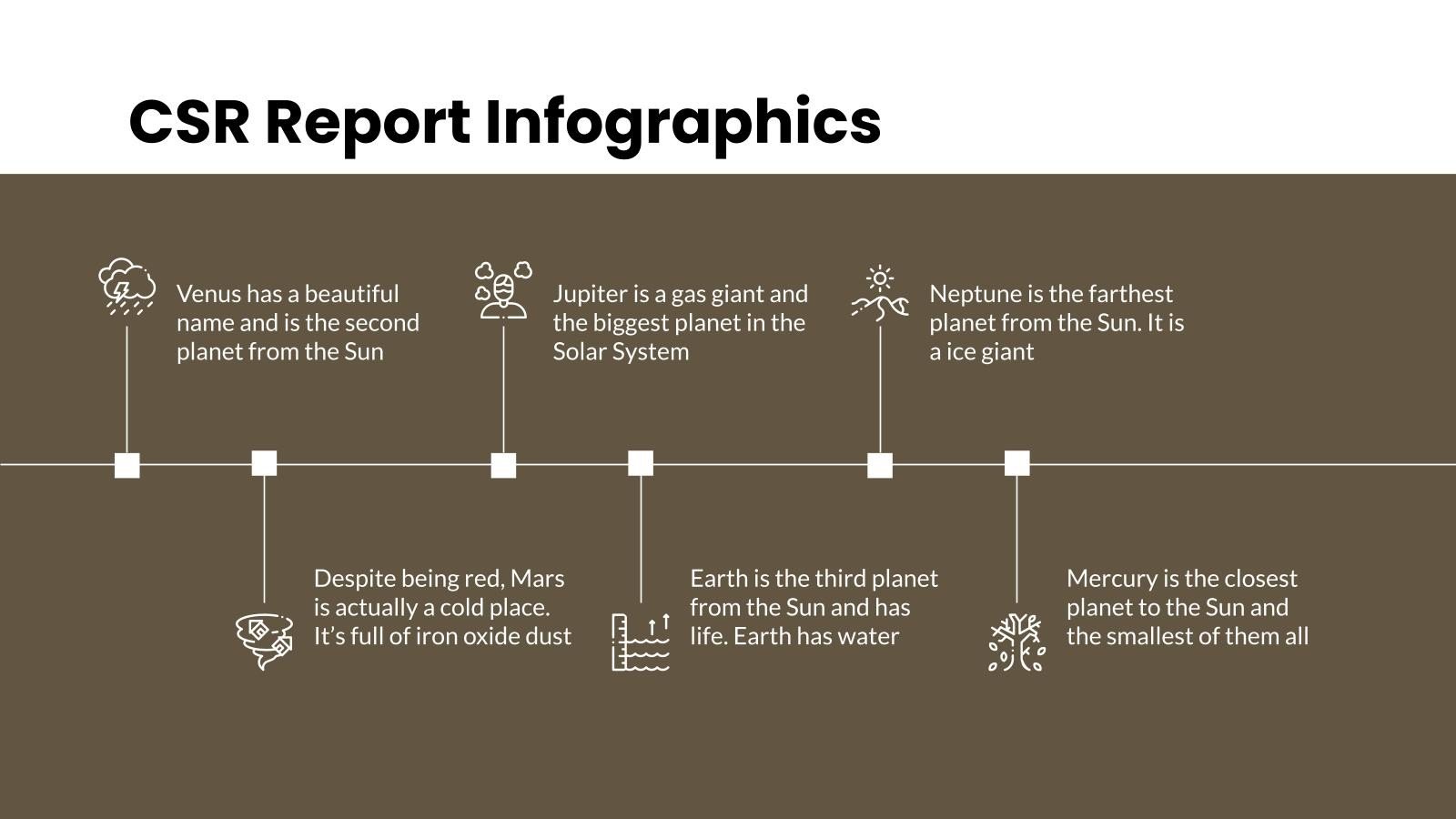 CSR Report Infographics Presentation