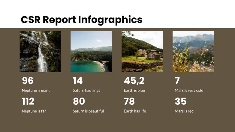 CSR Report Infographics Presentation