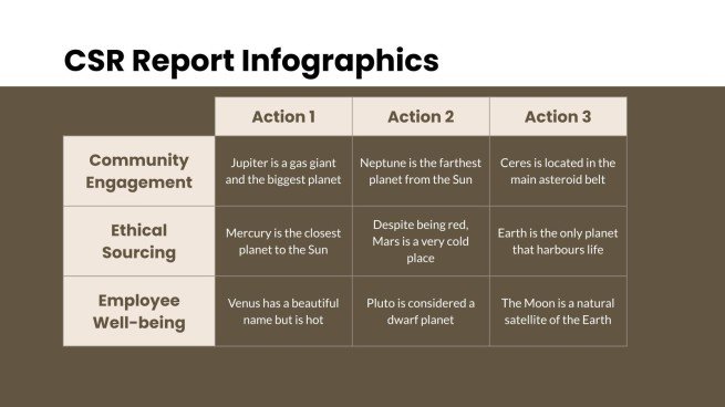 CSR Report Infographics Presentation