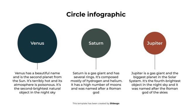Circle Infographics Presentation
