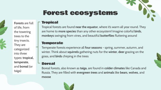 Exploring Ecosystems Presentation