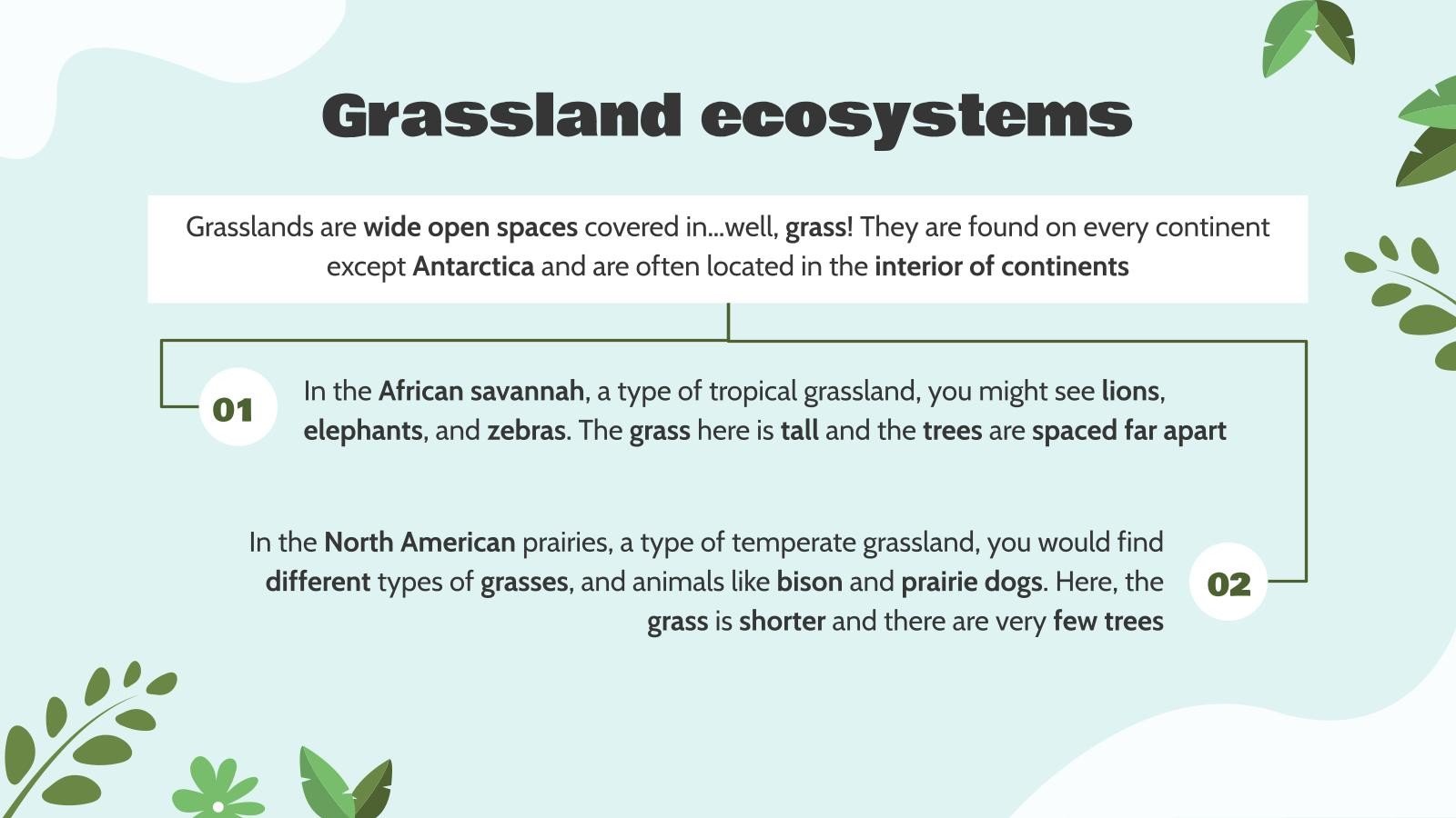 Exploring Ecosystems Presentation