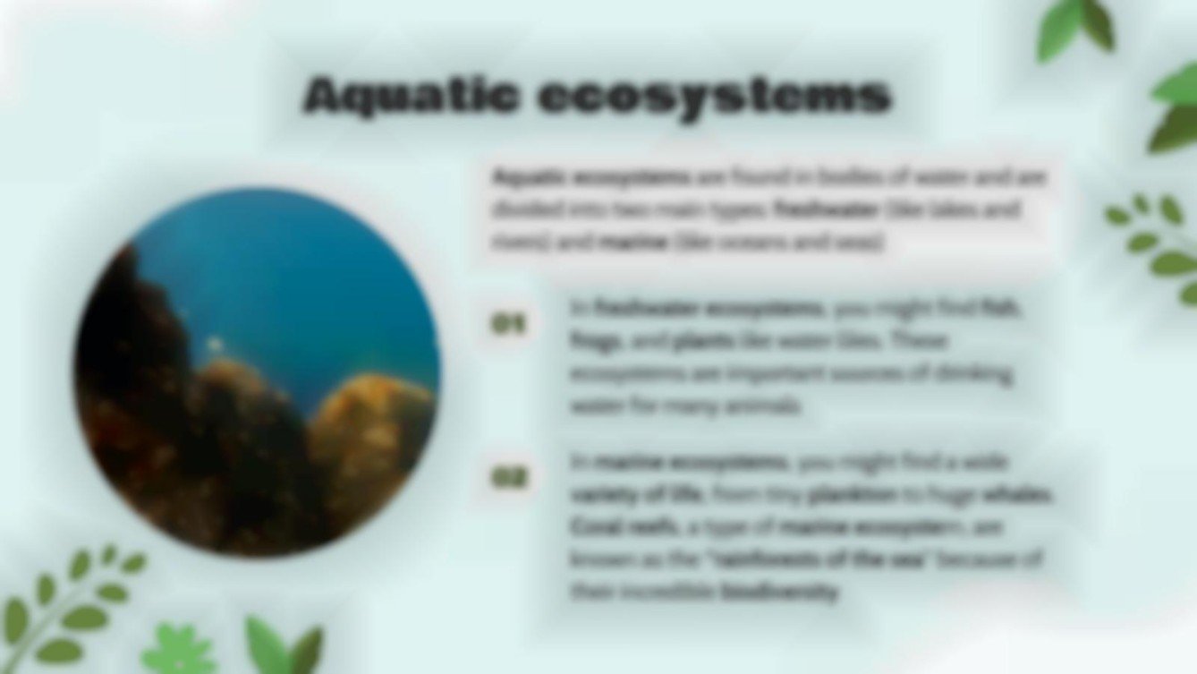 Exploring Ecosystems Presentation