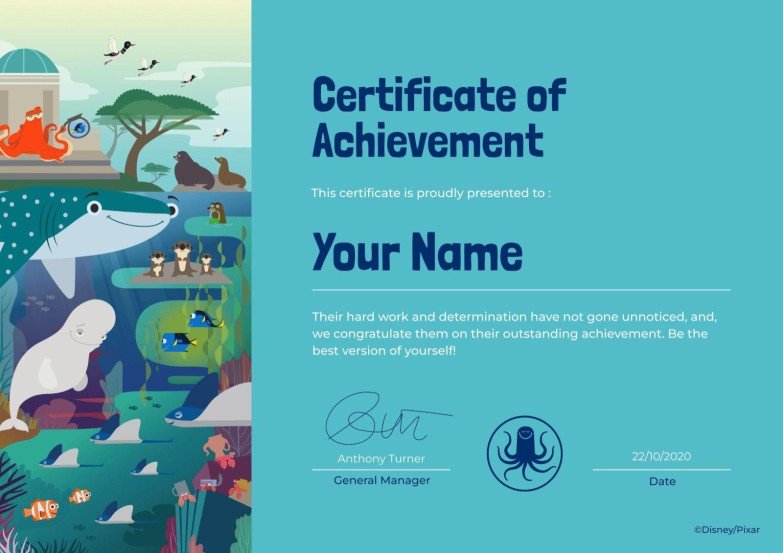 Finding Nemo Certificate Presentation