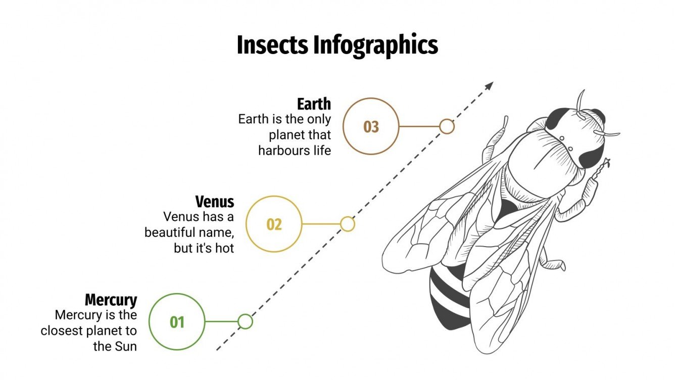 Insects Infographics | Google Slides & PowerPoint Template