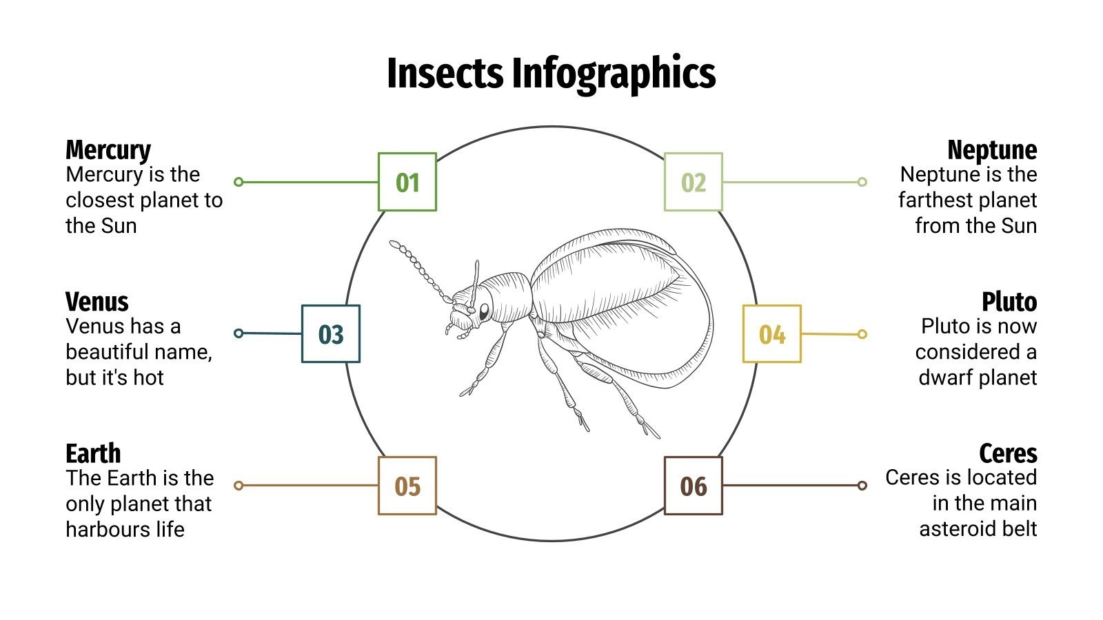 Infográficos de insetos | Modelo do Google Slides e PPT