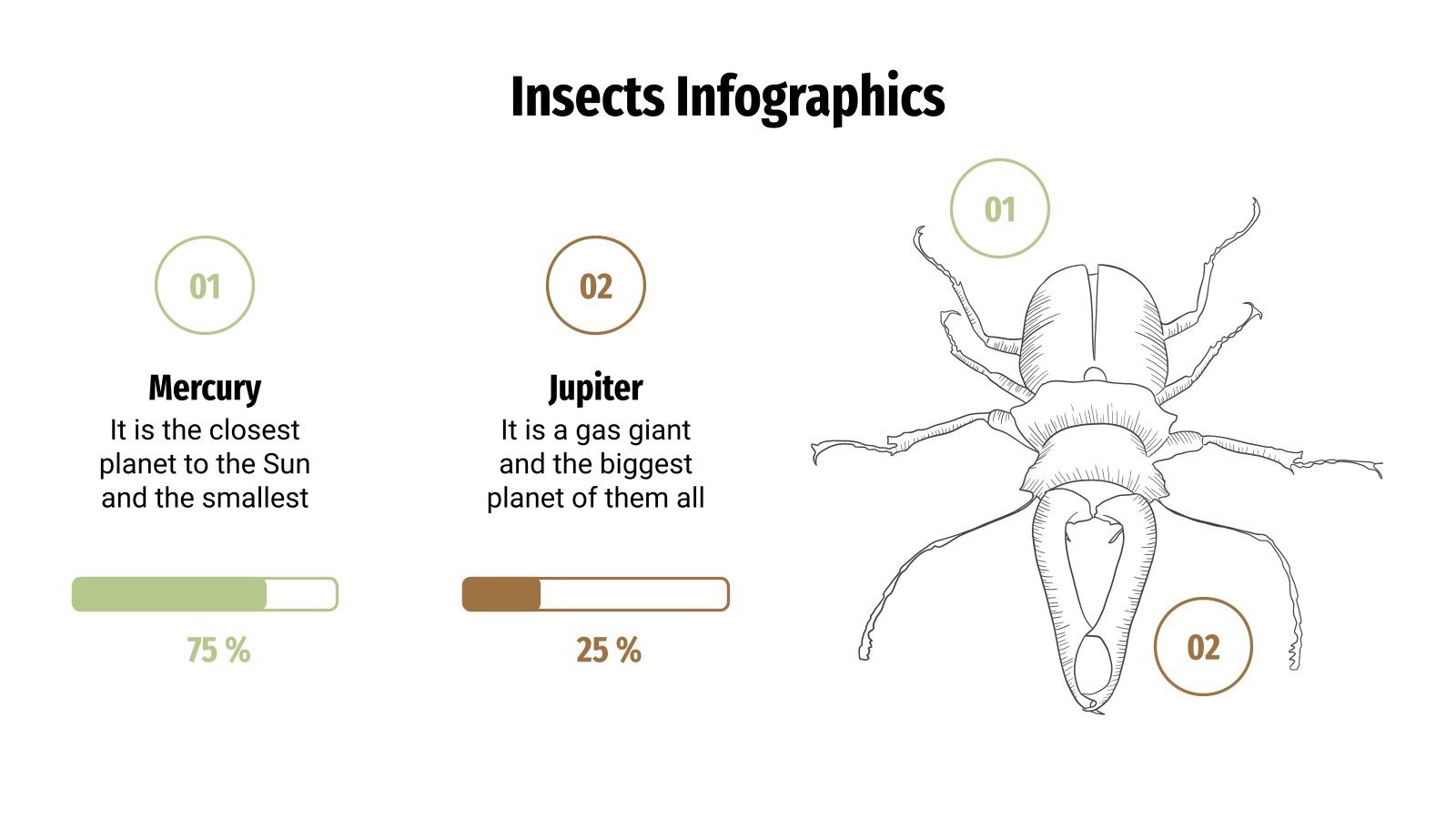 Infografías de insectos | Plantilla de Google Slides & PPT