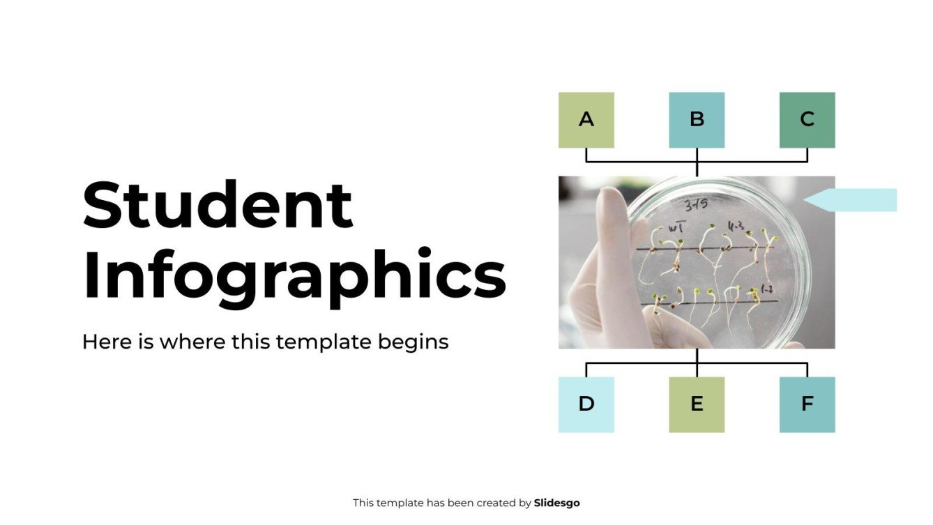 Student Infographics Template