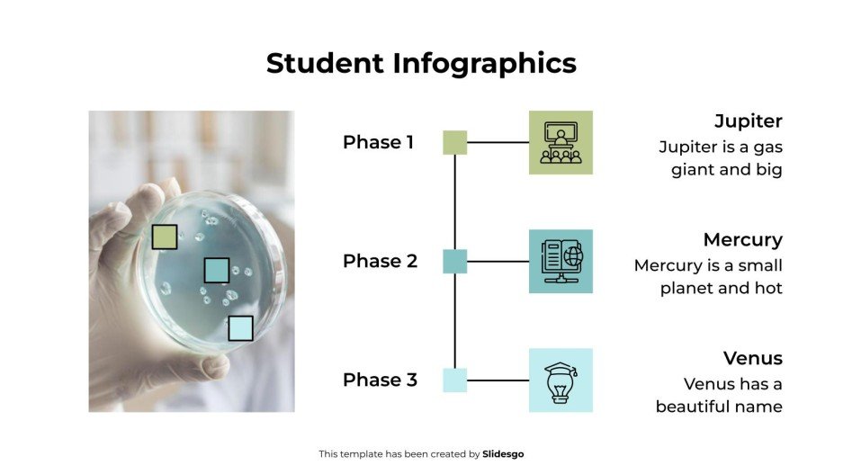 Student Infographics Template