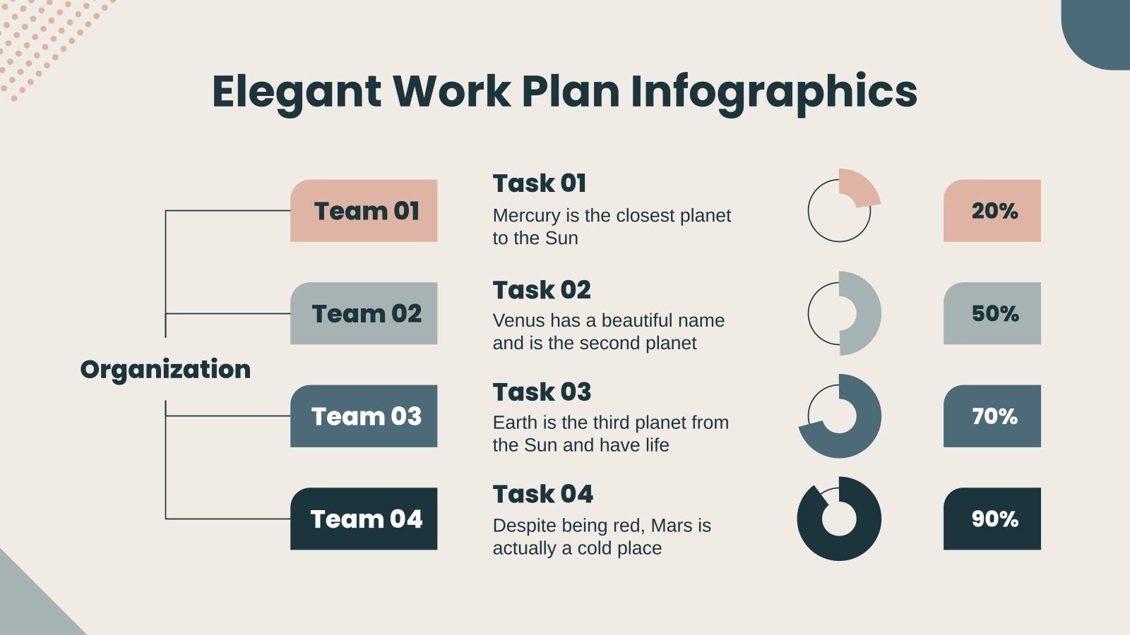 Elegant Workplan Infographics Template
