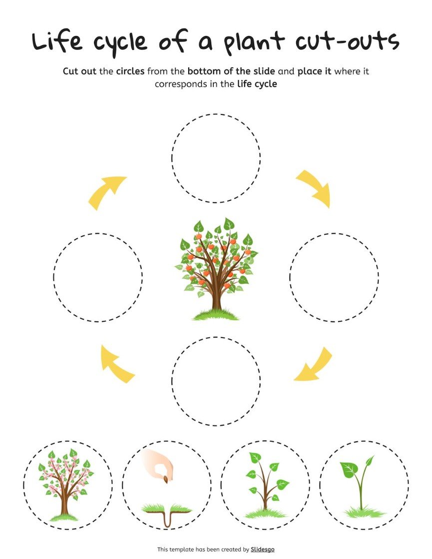 Life Cycle of a Plant Cut-outs Template