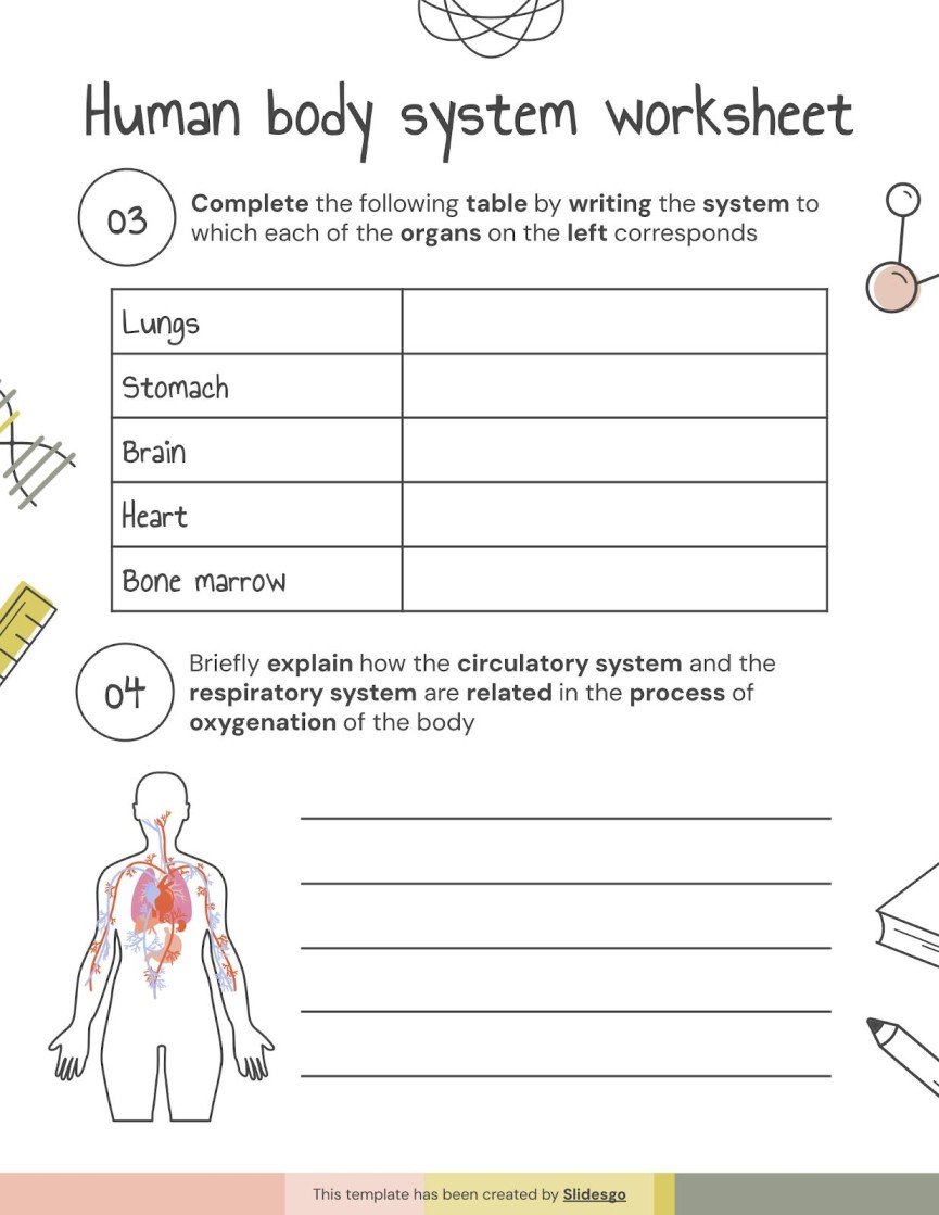 Human Body System Worksheet Template