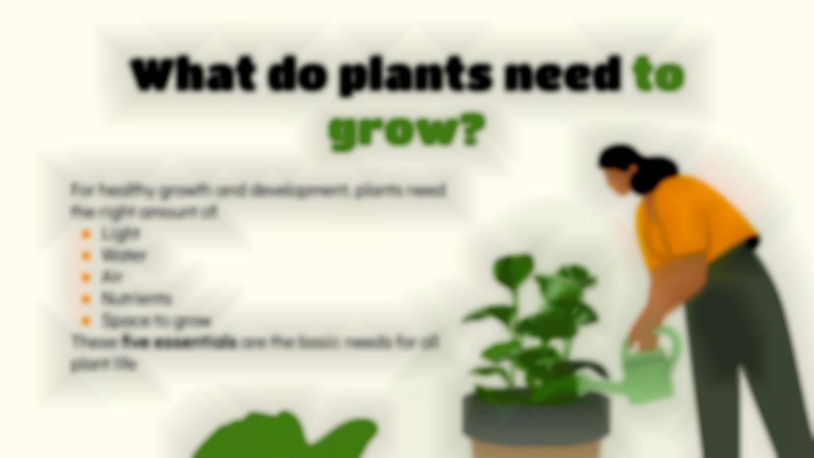 Plants Presentation