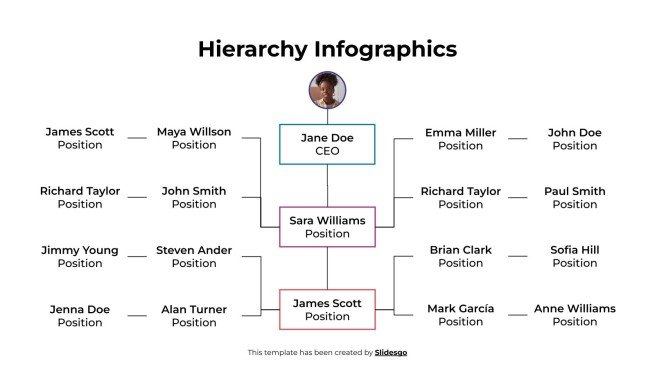 Hierarchy Infographics Template