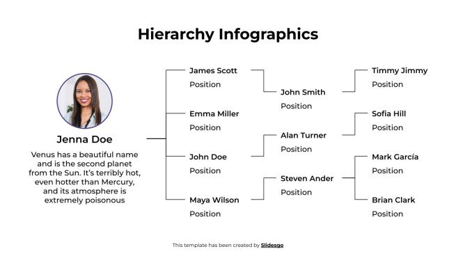 Hierarchy Infographics Template