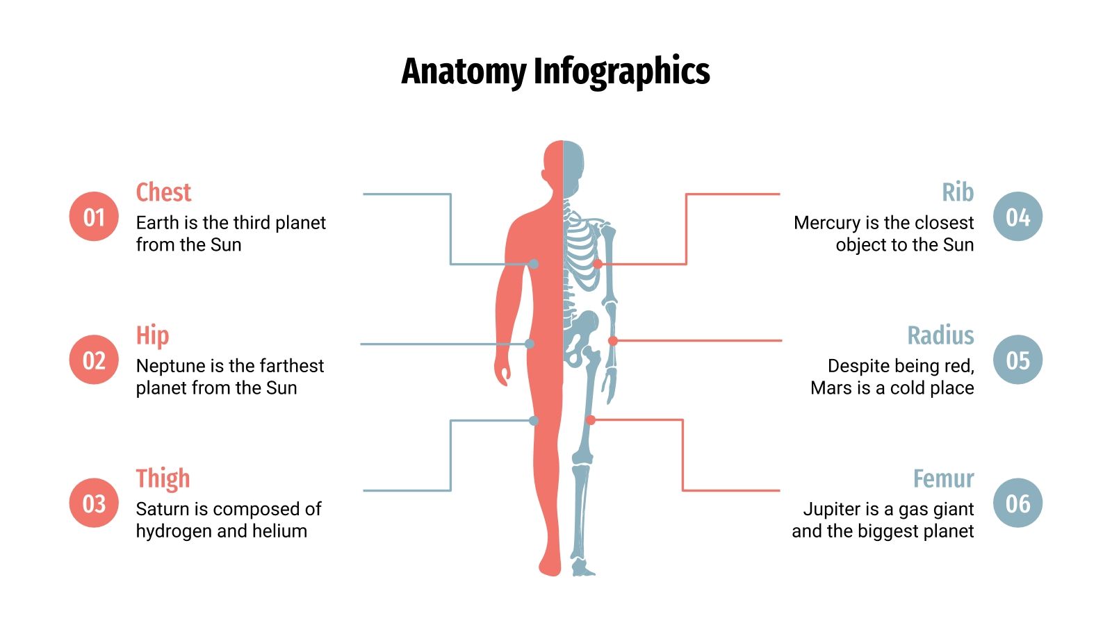 Anatomy Infographics for Google Slides and PowerPoint