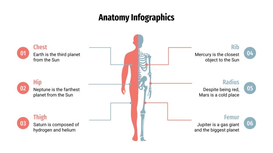 Anatomy Infographics for Google Slides and PowerPoint