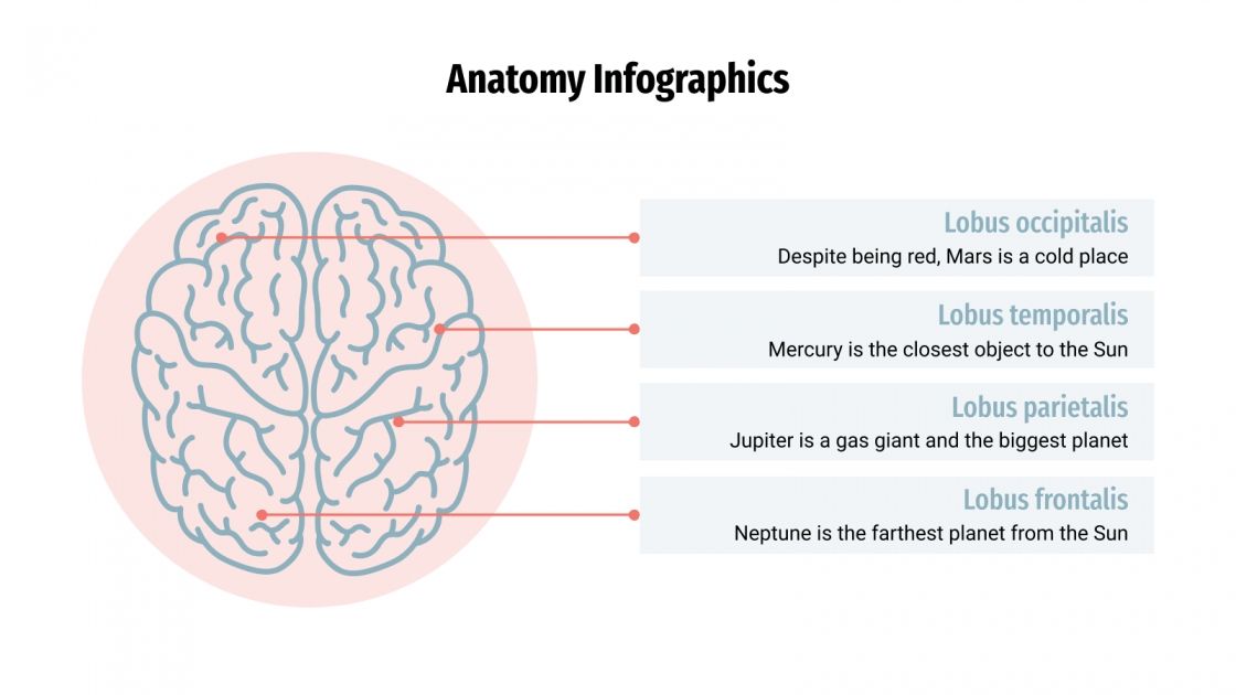 Anatomy Infographics for Google Slides and PowerPoint