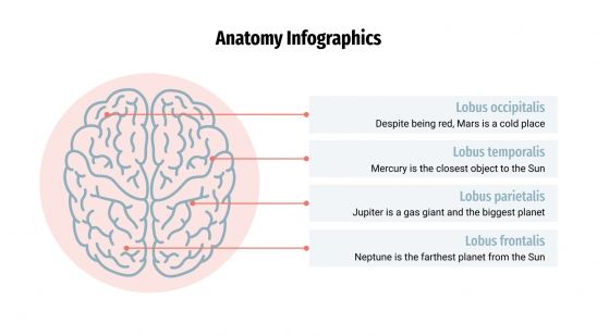 Anatomy Infographics for Google Slides and PowerPoint