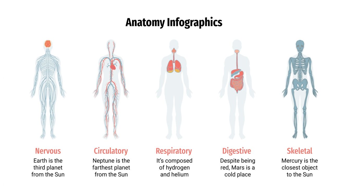 Anatomy Infographics for Google Slides and PowerPoint