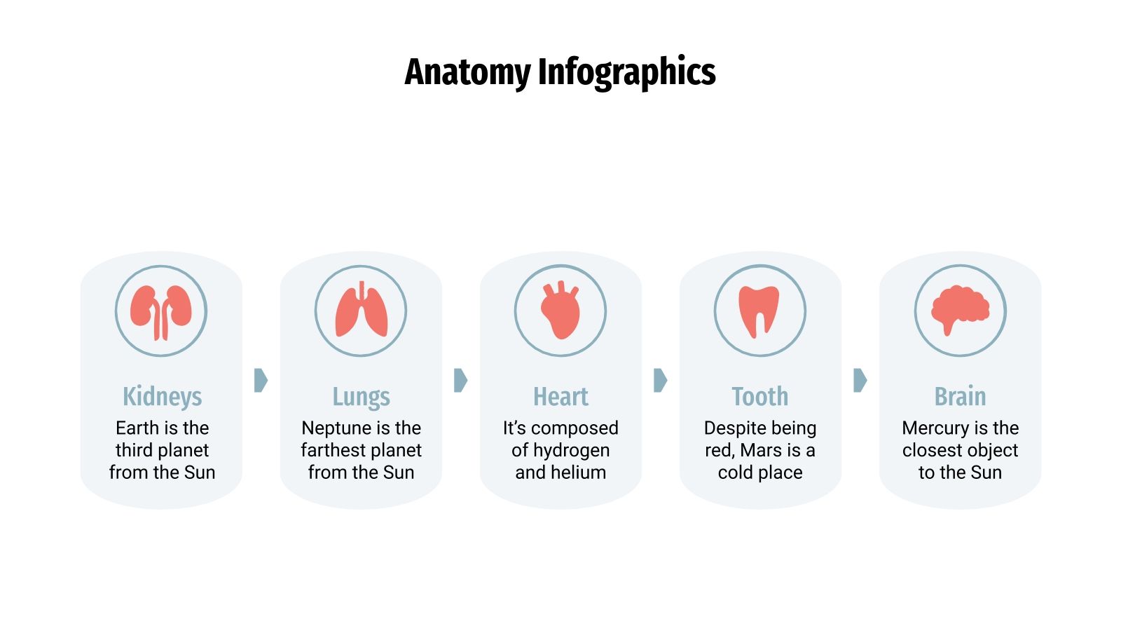 Anatomy Infographics for Google Slides and PowerPoint