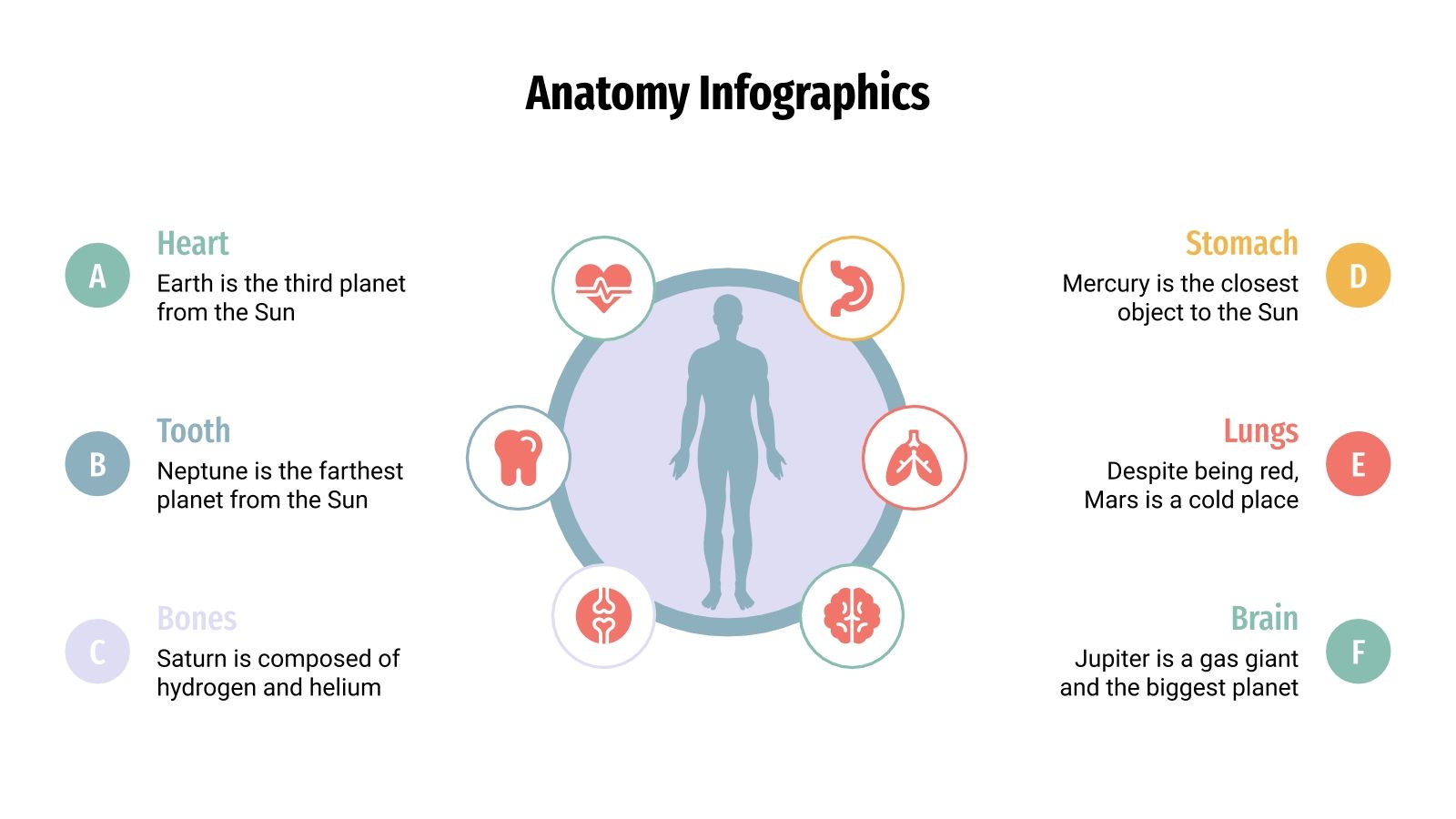 Anatomy Infographics for Google Slides and PowerPoint