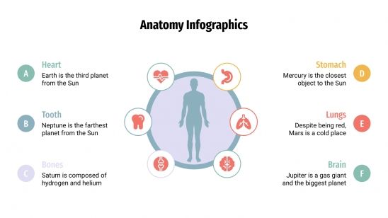 Anatomy Infographics for Google Slides and PowerPoint