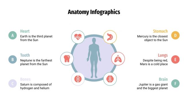 Anatomy Infographics for Google Slides and PowerPoint
