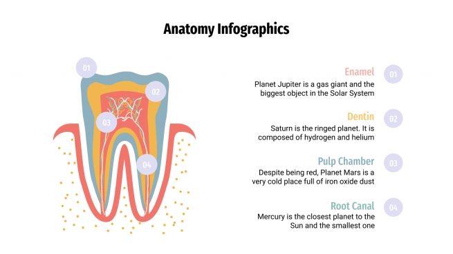 Anatomy Infographics for Google Slides and PowerPoint