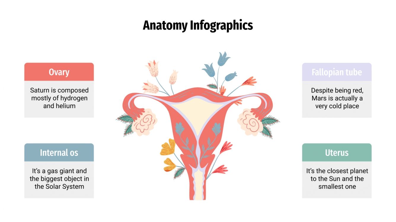 Anatomy Infographics for Google Slides and PowerPoint