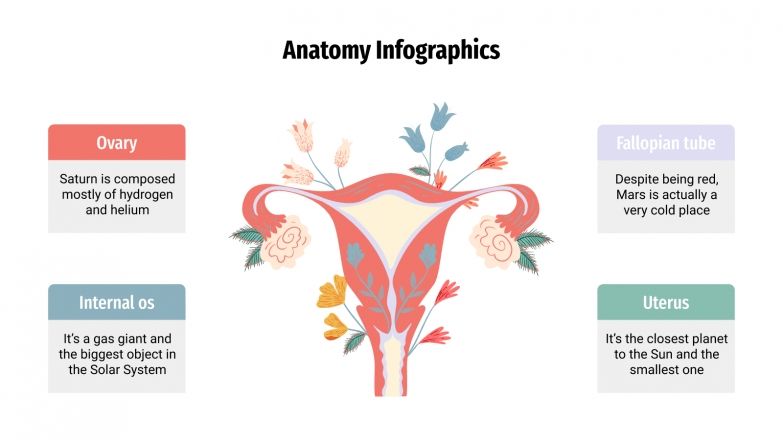Anatomy Infographics for Google Slides and PowerPoint